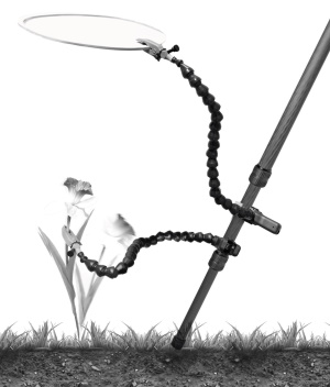 Wimberley Professional Photo Gear - The Original Plamp